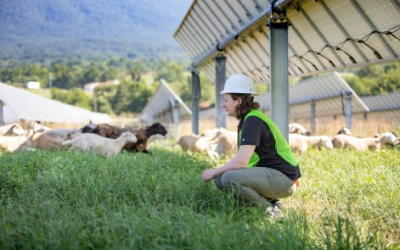 Solar farm, living laboratory: Lightsource bp’s Nittany Solar projects ...