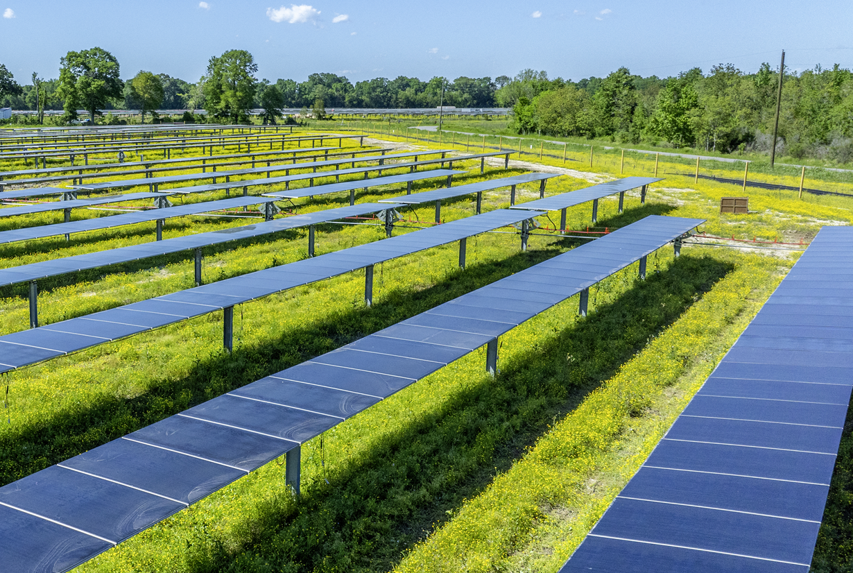 Prairie Ronde Solar goes online | Lightsource bp USA